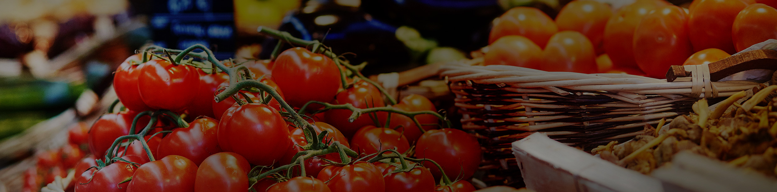 Des services ‘‘sur-mesure’’ - Aestera